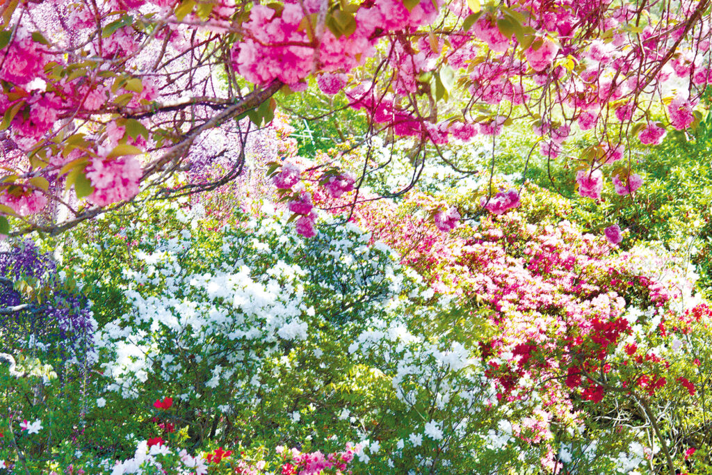 vol17 - Sustainable Japan Magazine - Sustainable Japan by The Japan Times